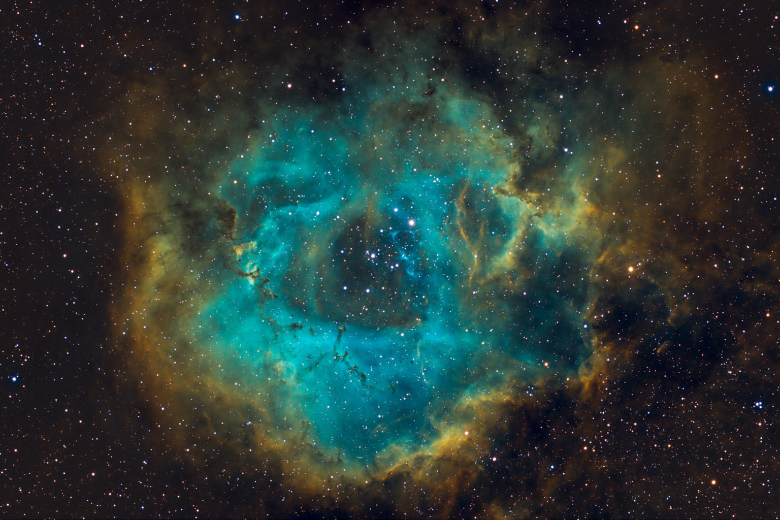 Caldwell 49 - La nébuleuse de la rosette - Astrophotographie Nord-Isère